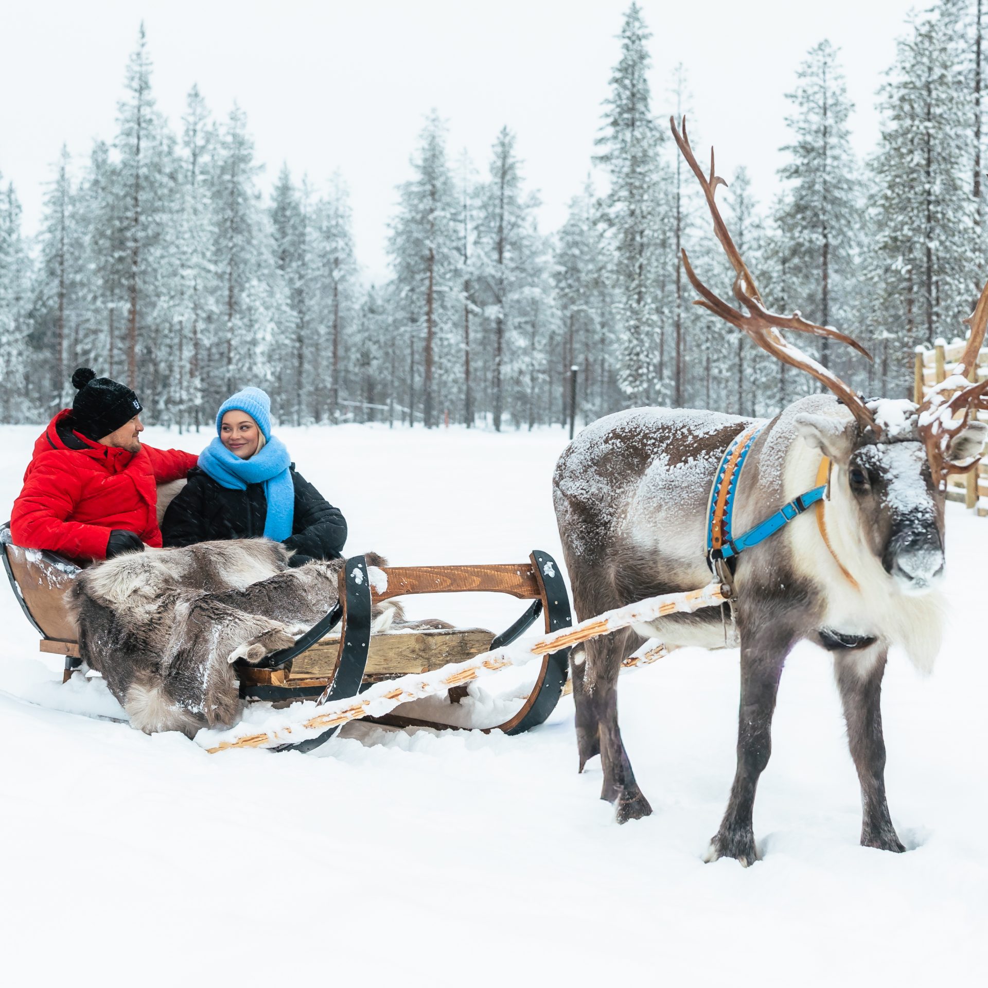 Rovaniemi Winter Activities | Lapland Winter Park